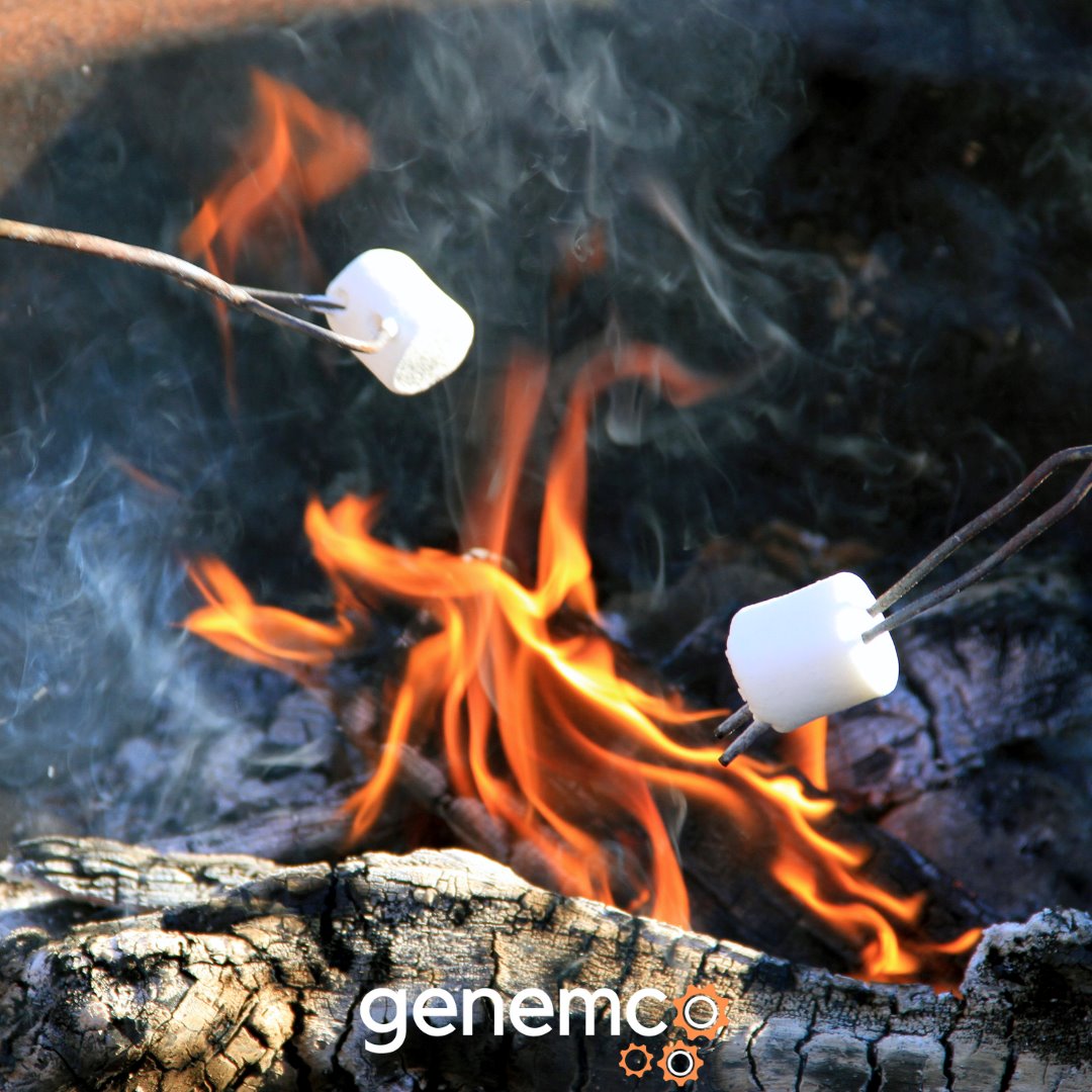 The Gooey Goodness of National Toasted Marshmallow Day & Its Ancient H