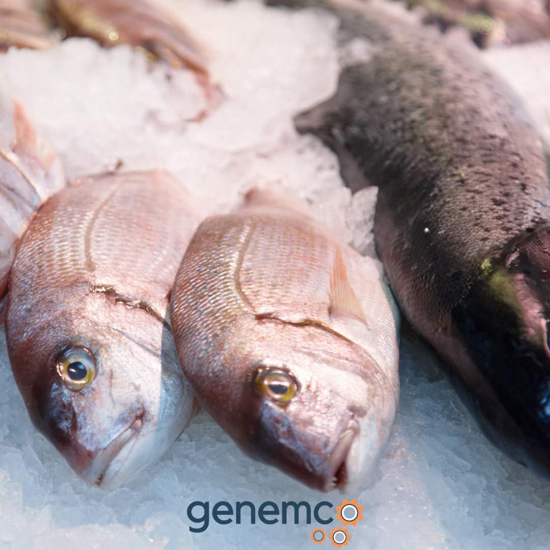 Best Industrial Ice Tips for Keeping Fish Fresh and Extending Shelf Li