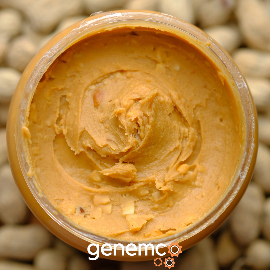 La producción industrial de mantequilla de maní: un esfuerzo loco