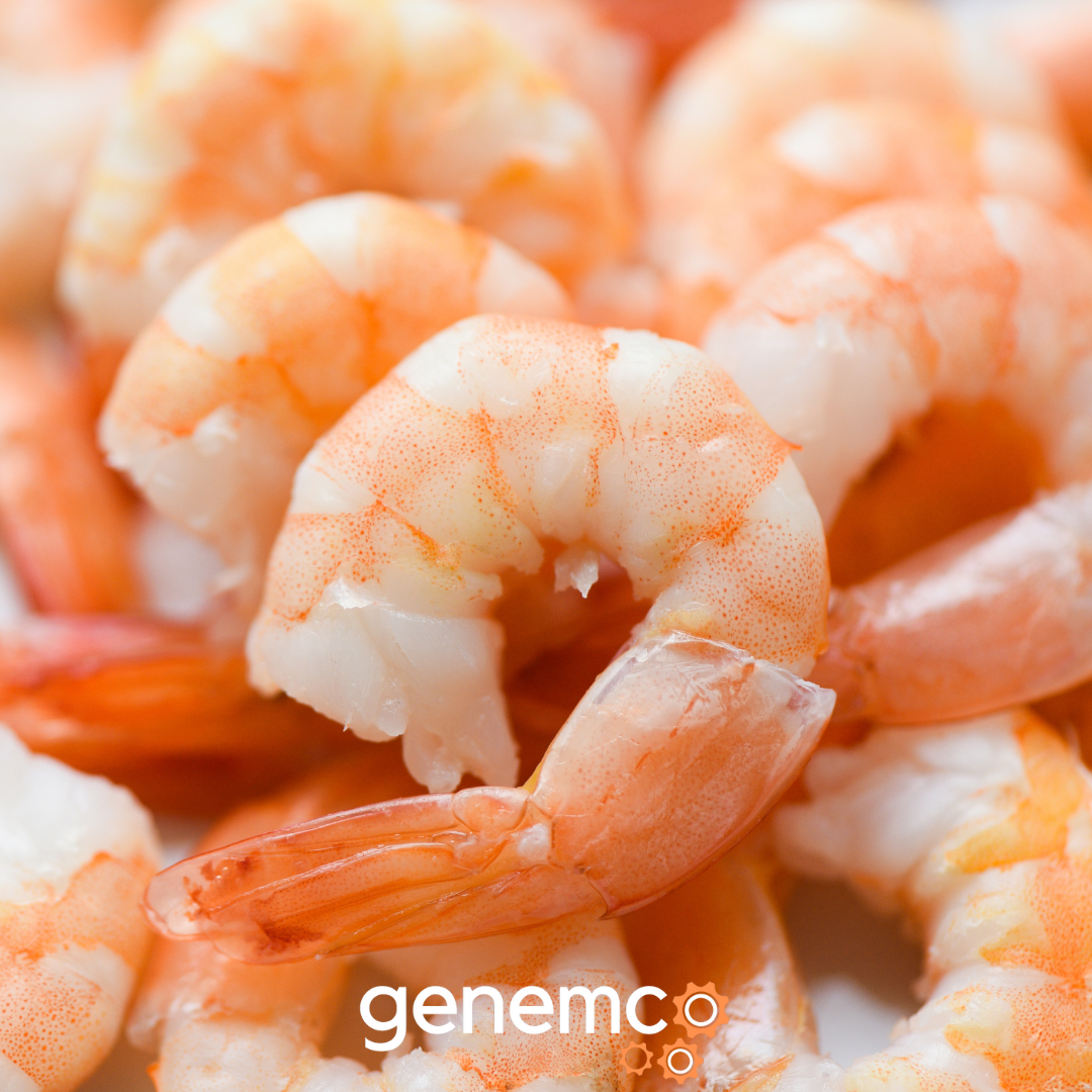 How Flake Ice Benefits Shrimp Food Processing
