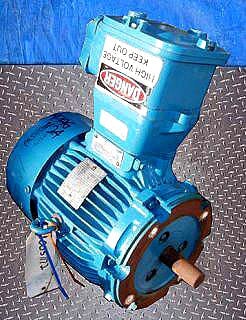 Brook Hansen Motor- 3 HP