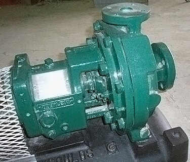 Peerless 8196 ST Centrifugal Pump (10 HP)